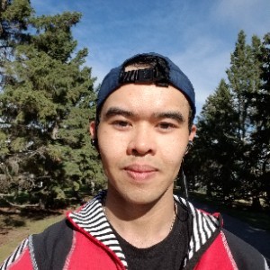 The Million Reasons Run - Randy Luu